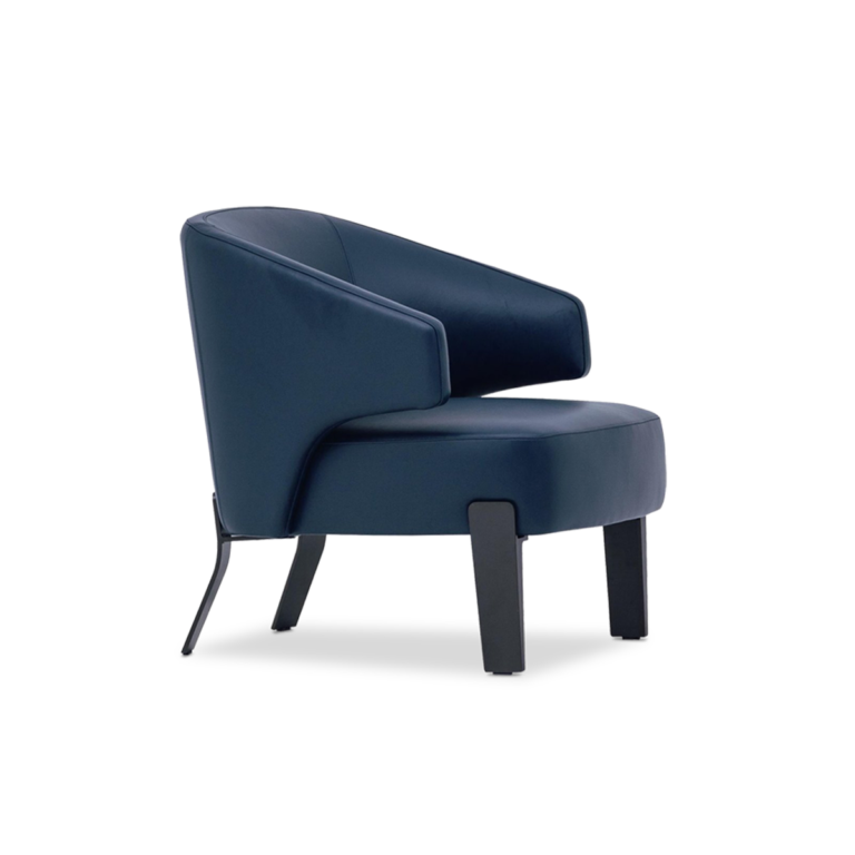 Embrace Chair - Forcitta Living